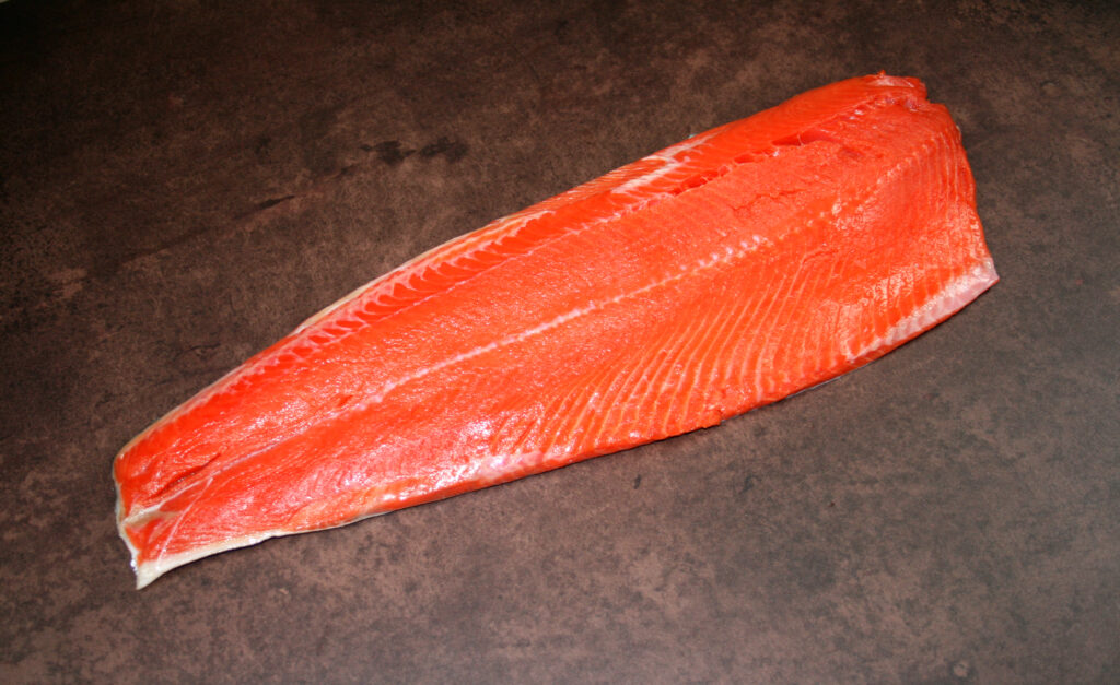 Sockeye Zalm vers - Zuidvenne
